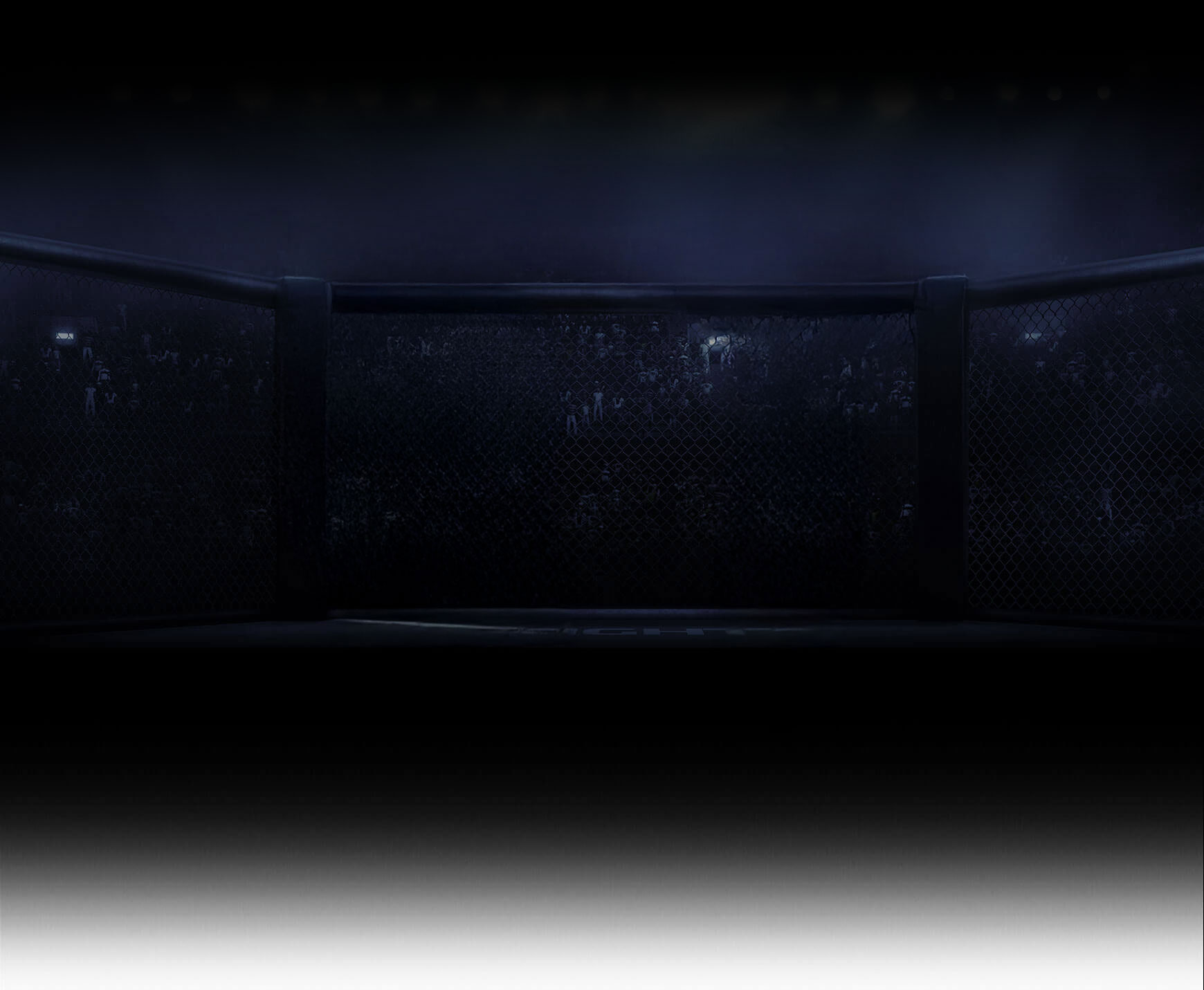 Lights Out XF - Lights Out Xtreme Fighting. www.LightsOutXF.com ...